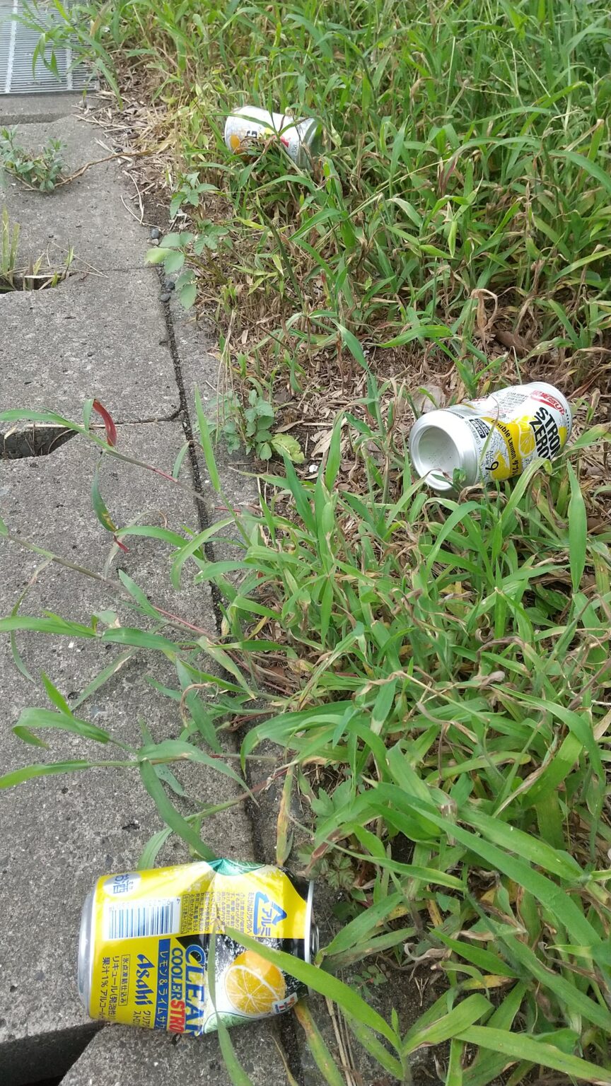 なぜゴミをポイ捨てするのだろう？ | ギンジーブログ